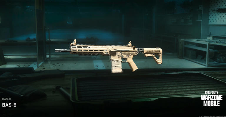 Warzone Mobile Battle Rifle Tier List (Season 6): All Battle Rifles ...