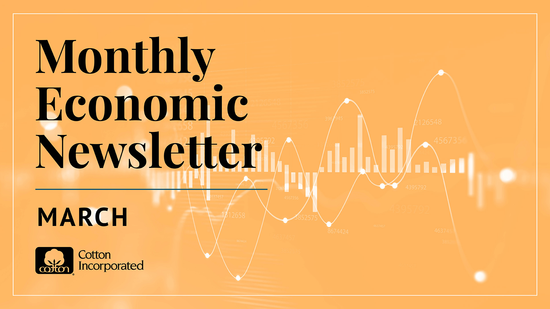 Monthly Cotton Economic Newsletter: March 2025
