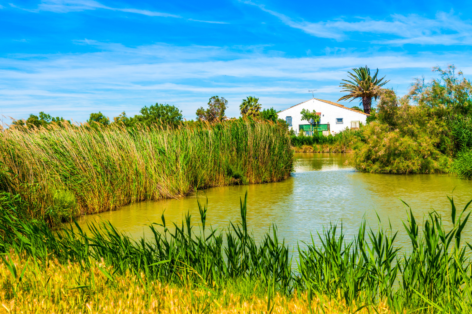 The use of drugs in warfare