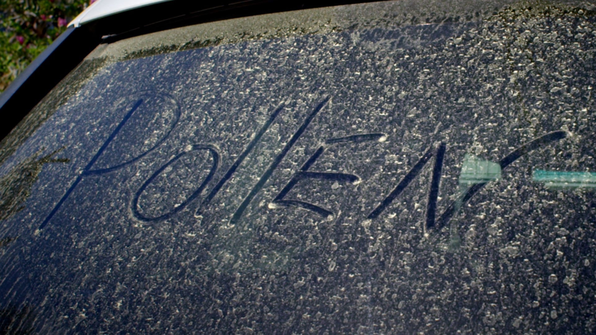 Spring Allergy Guide: Pollen Forecast, Peak Times And Relief Tips