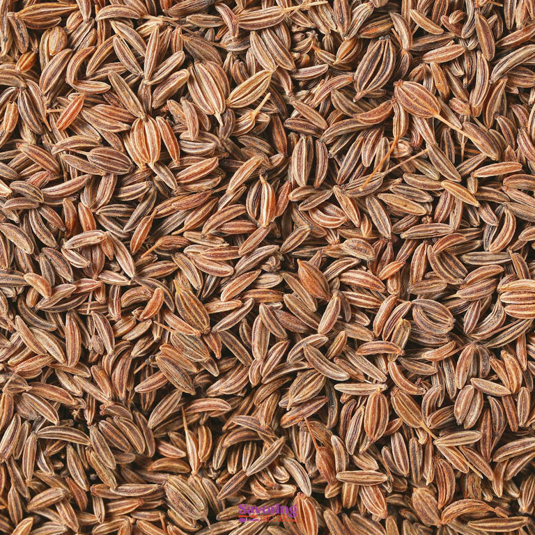 Caraway Seed Substitutes 🫙 Good Substitute For Caraway Seeds