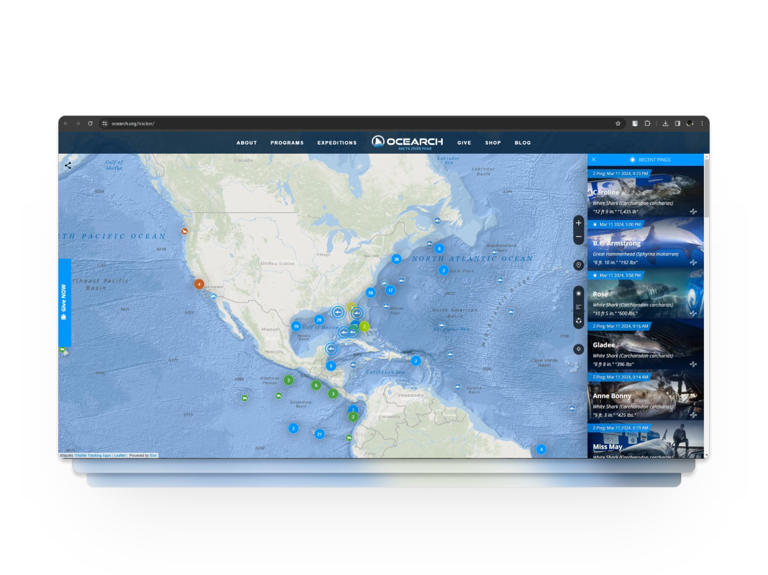 30 Fun & Unique Time Pass Websites to Visit When Bored
