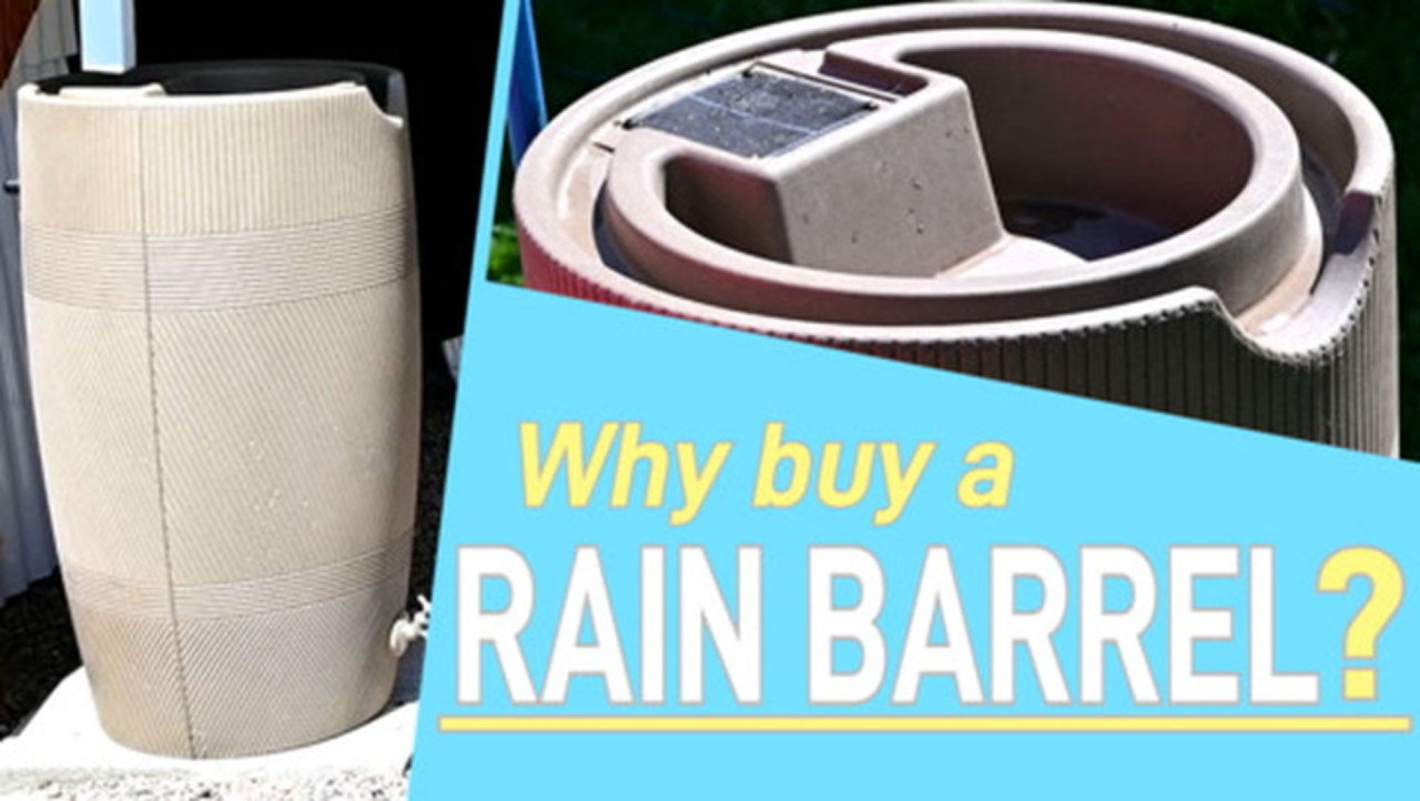 Elevate your garden with a rain barrel: Discover the benefits
