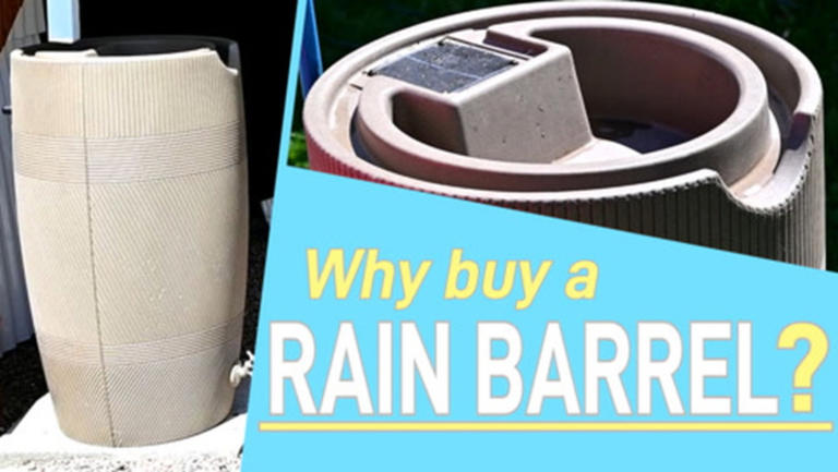 Elevate your garden with a rain barrel: Discover the benefits