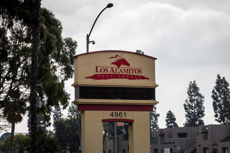 Winning Racehorse Dies at Los Alamitos