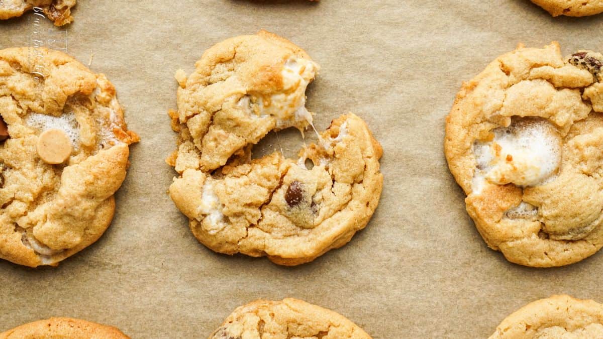 Cambio polémico en WhatsApp: a partir de abril llegarán este nuevo tipo de usuarios