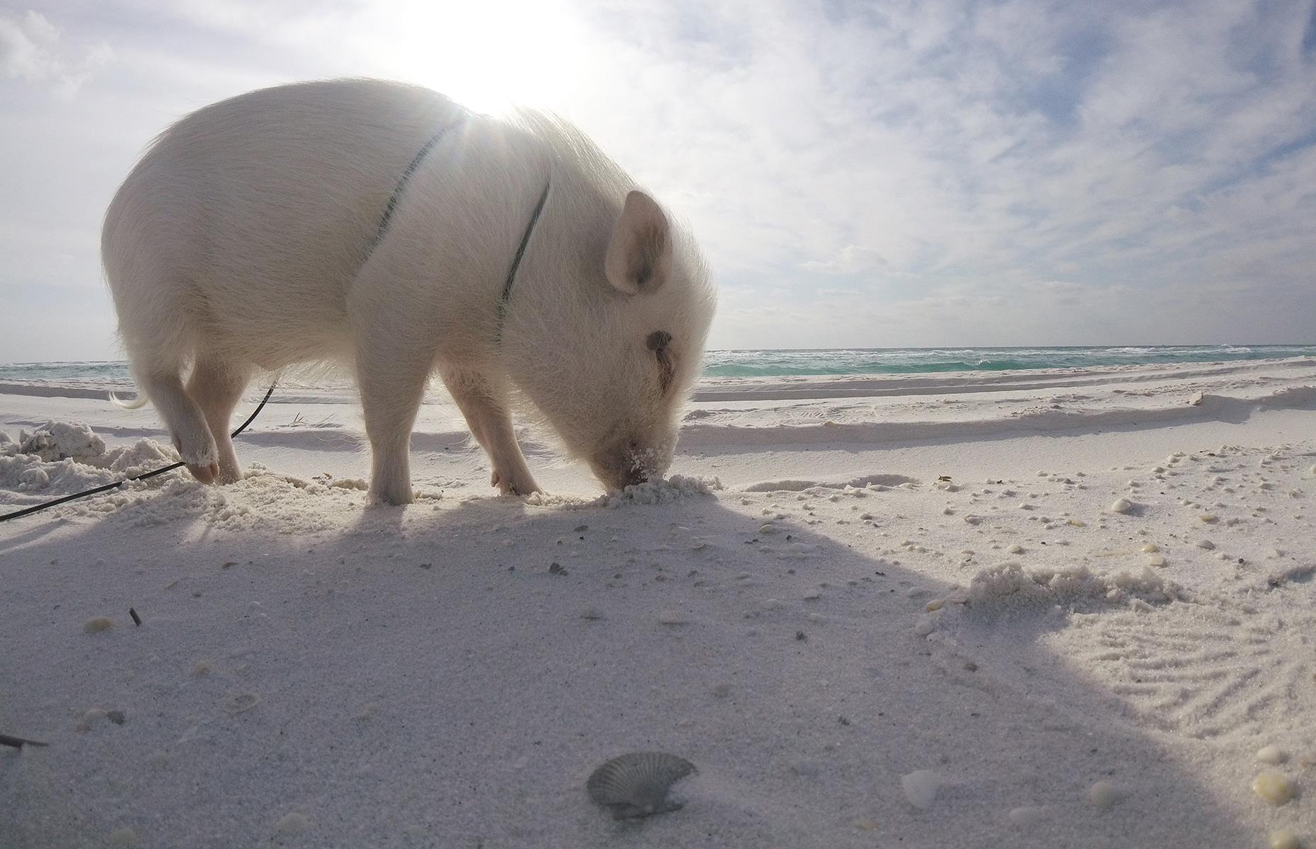 ¿No soporta a su suegra? La foto de Georgina con la madre de Cristiano ...