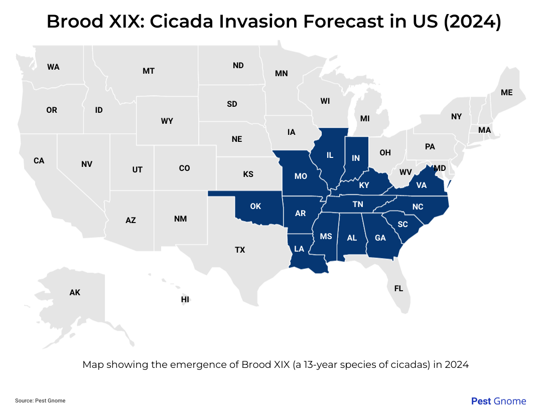 A Rare Historically Massive Cicada Season Is Coming—and Itll Be The