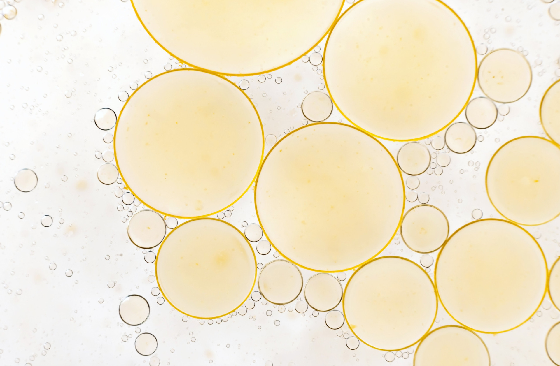 Fakta o tělesném tuku