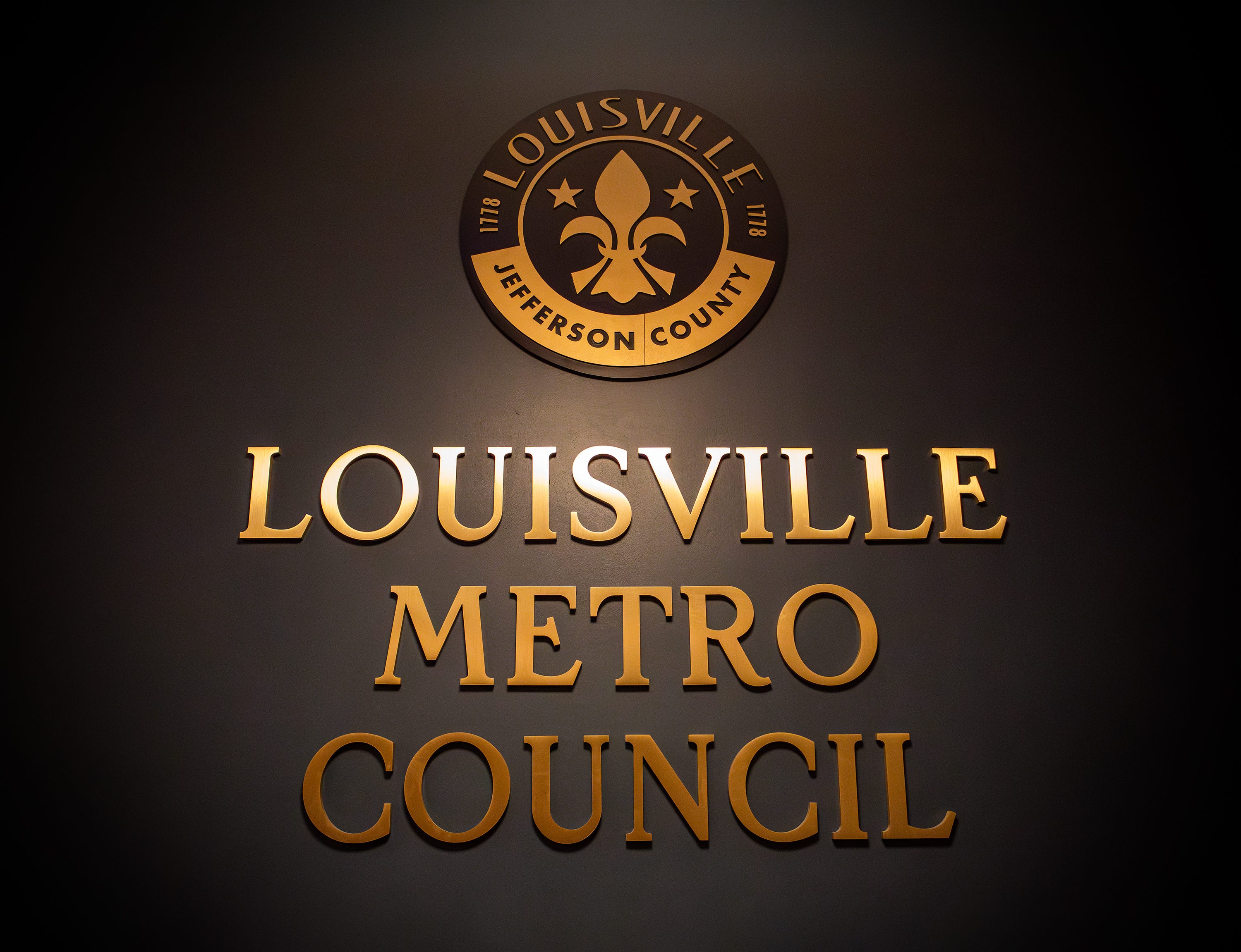 From housing to public safety: Metro Council members plan to tackle ...