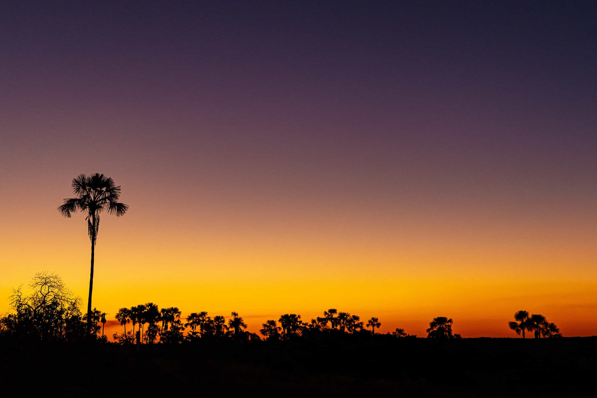 Monster motorhomes: inside the world's largest RVs