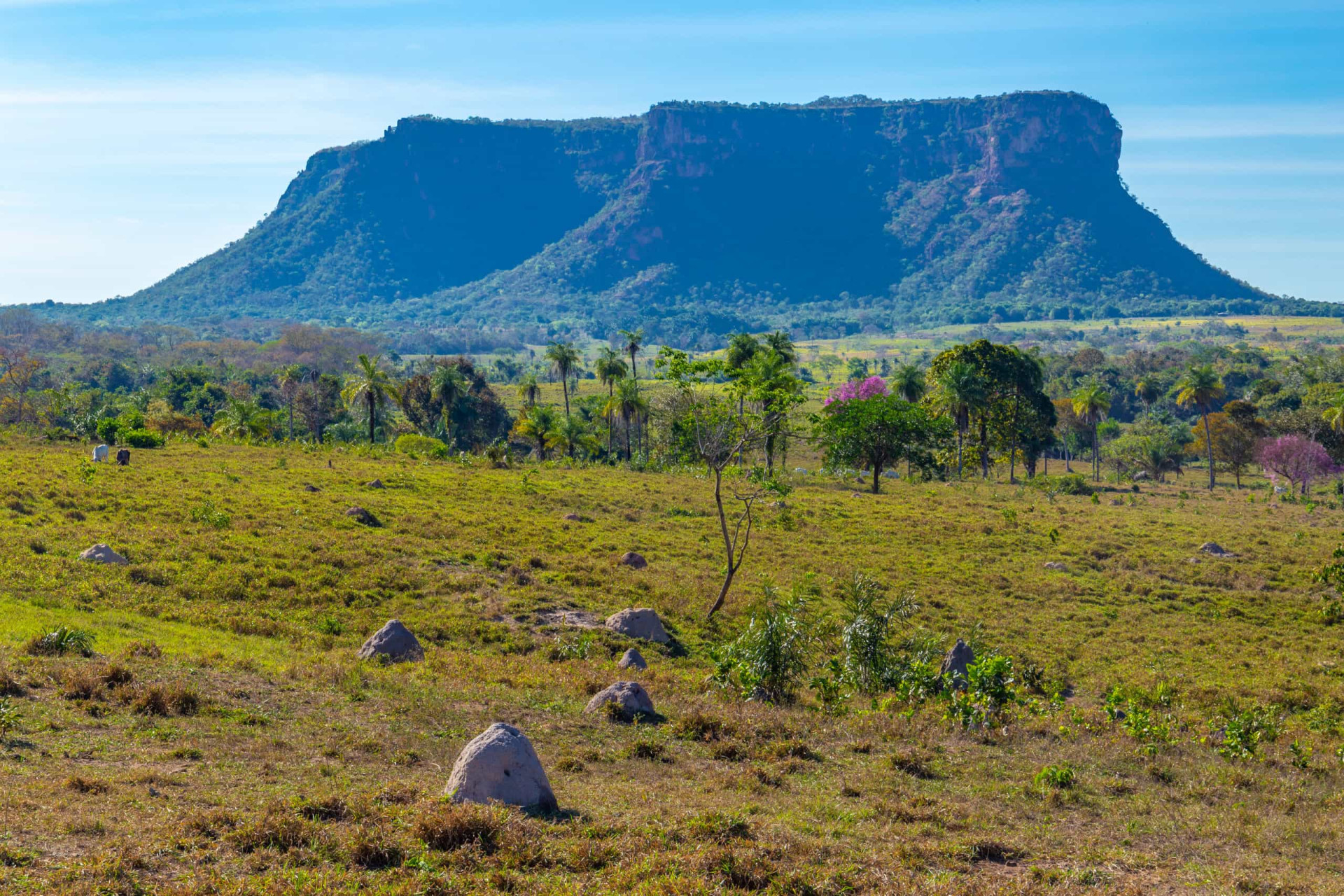 Discover the magnificent beauty of Brazil's plateaus