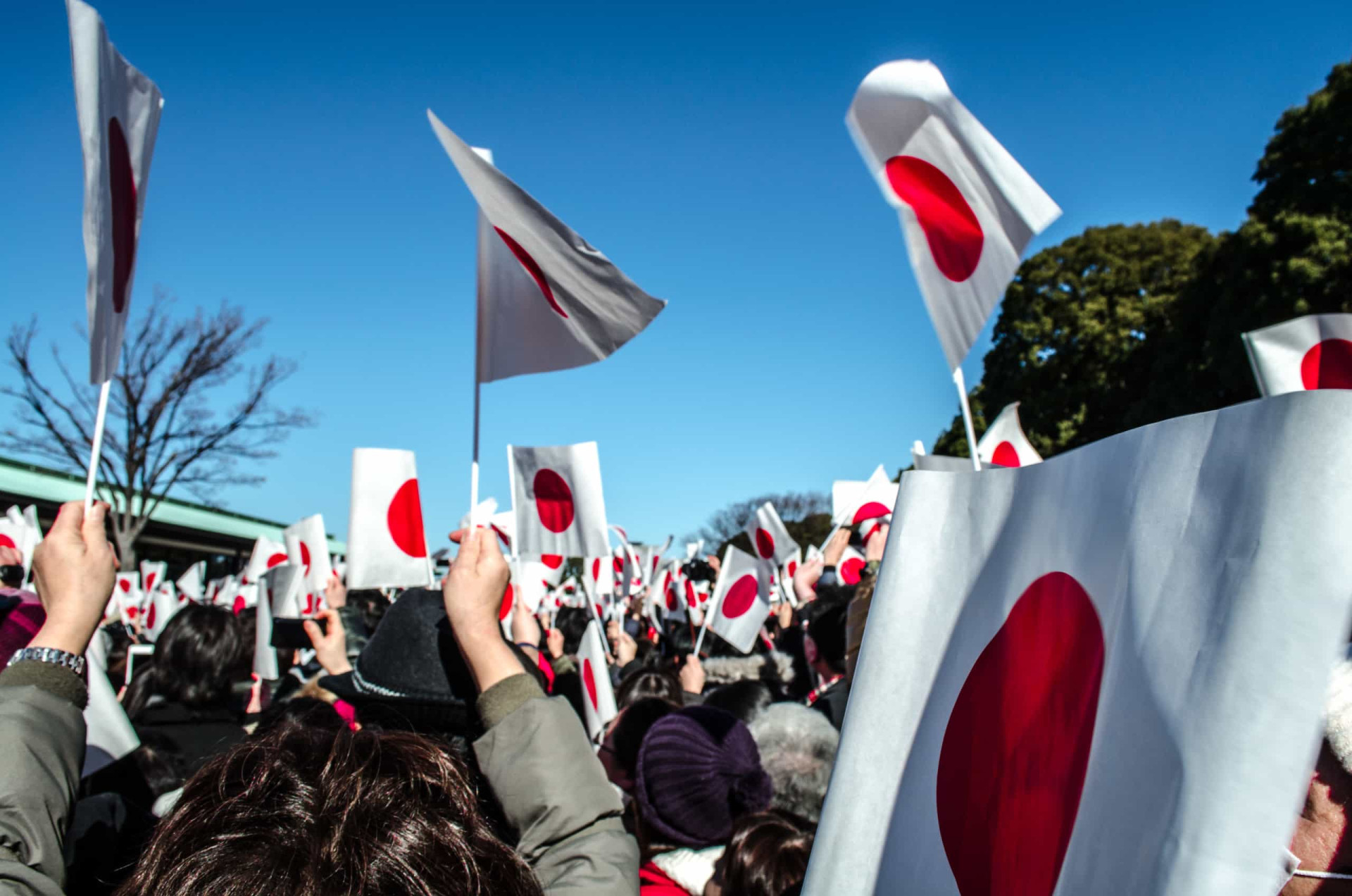 Fascinating facts about flags