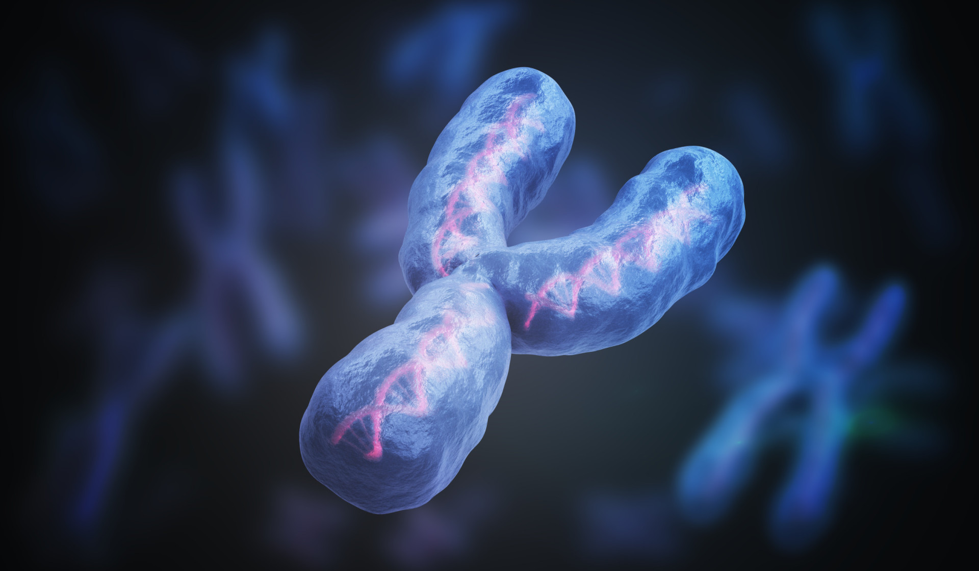 The Y Chromosome Is Deteriorating At An Alarming Rate Science Says