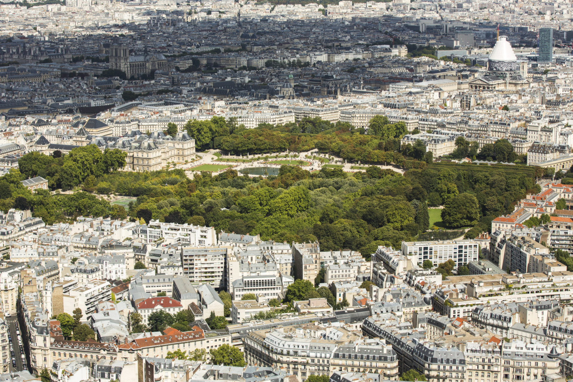 Le dimensioni della cosa più lunga del mondo ti lasceranno a bocca aperta