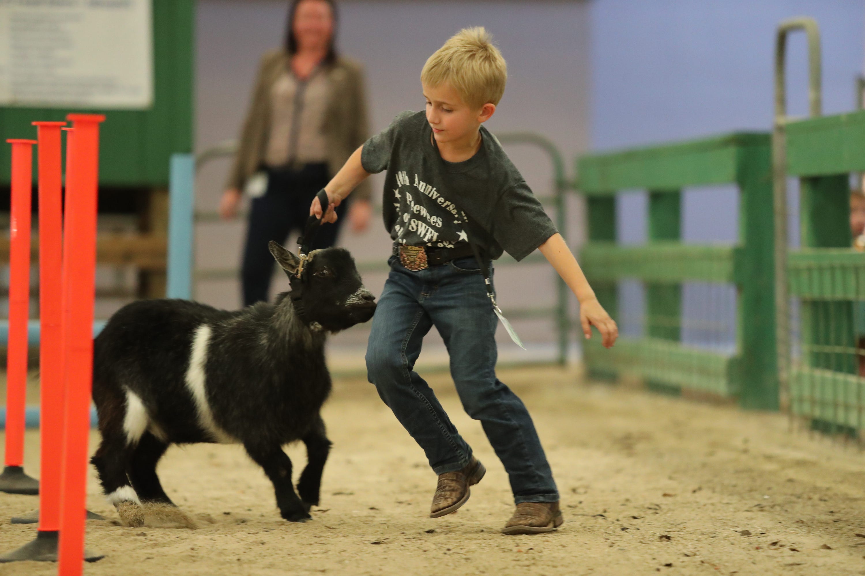 Agricultural Expo to showcase 4-H, FFA youth and their livestock ...