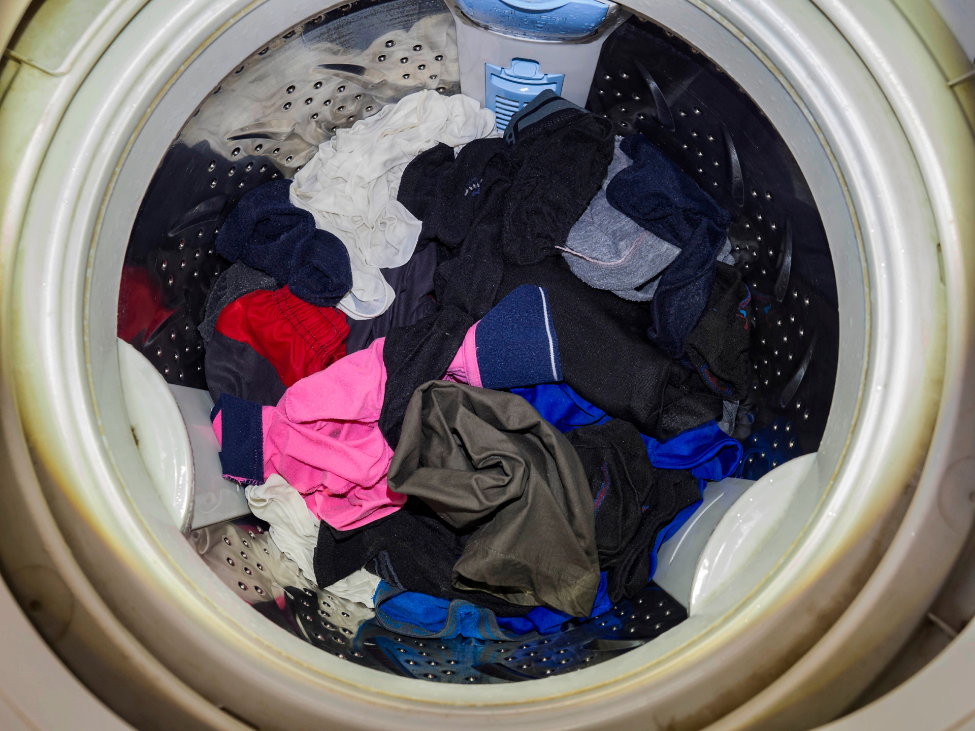 Timothée Chalamet 'really proud' of Chakobsa speech in Dune: Part Two