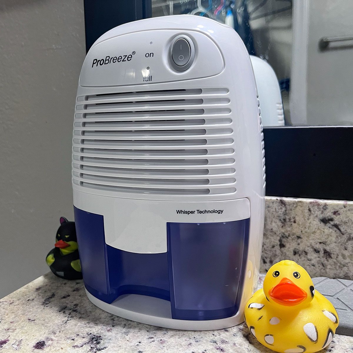 5 best small dehumidifiers to fight dampness, tested and reviewed