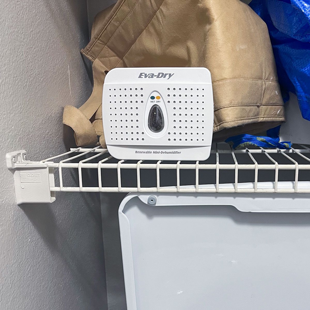 5 best small dehumidifiers to fight dampness, tested and reviewed