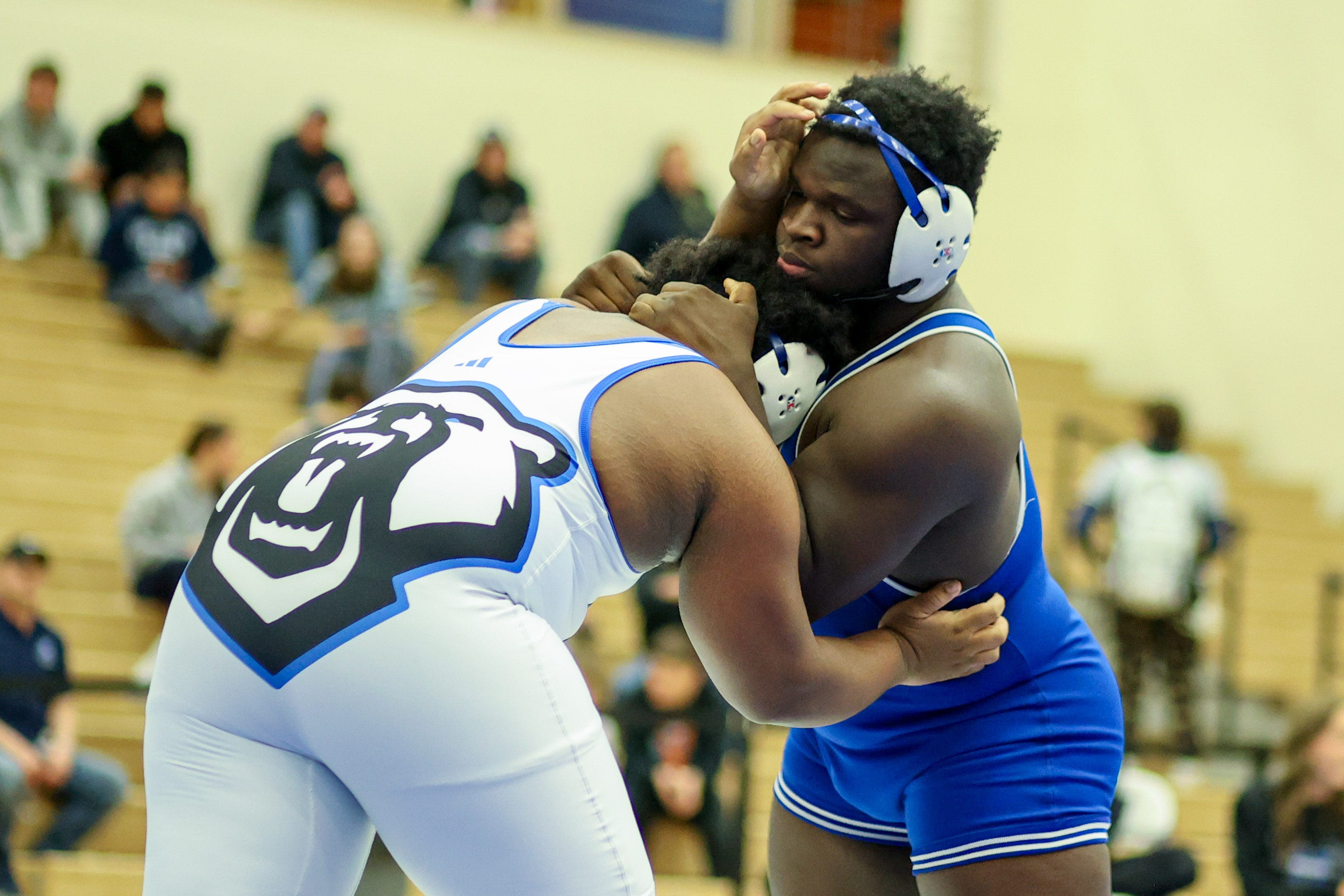 Wrestling: Section 9 shut out of final eight matches, medals at ...