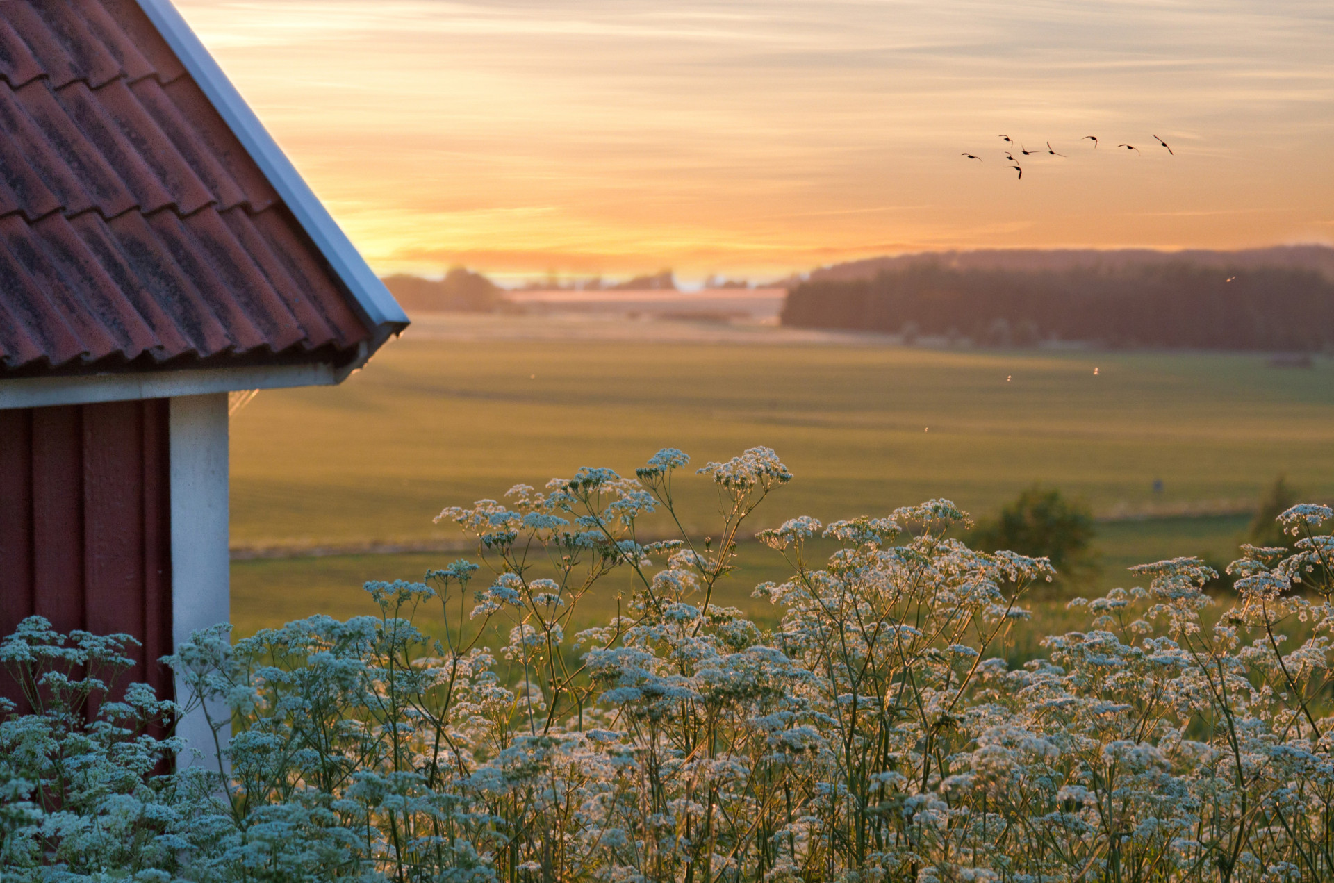 The Swedish secret to a balanced life