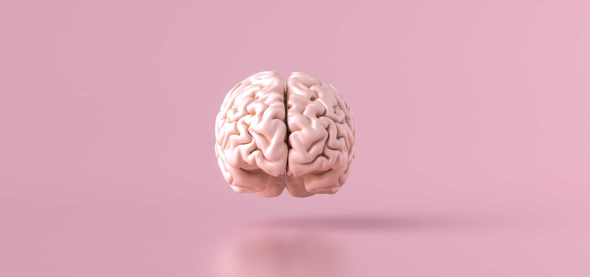 Are you left-brained or right-brained?