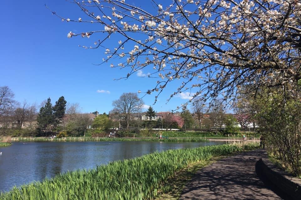 Natural Glasgow: 8 of the best nature reserves in Glasgow to get back ...
