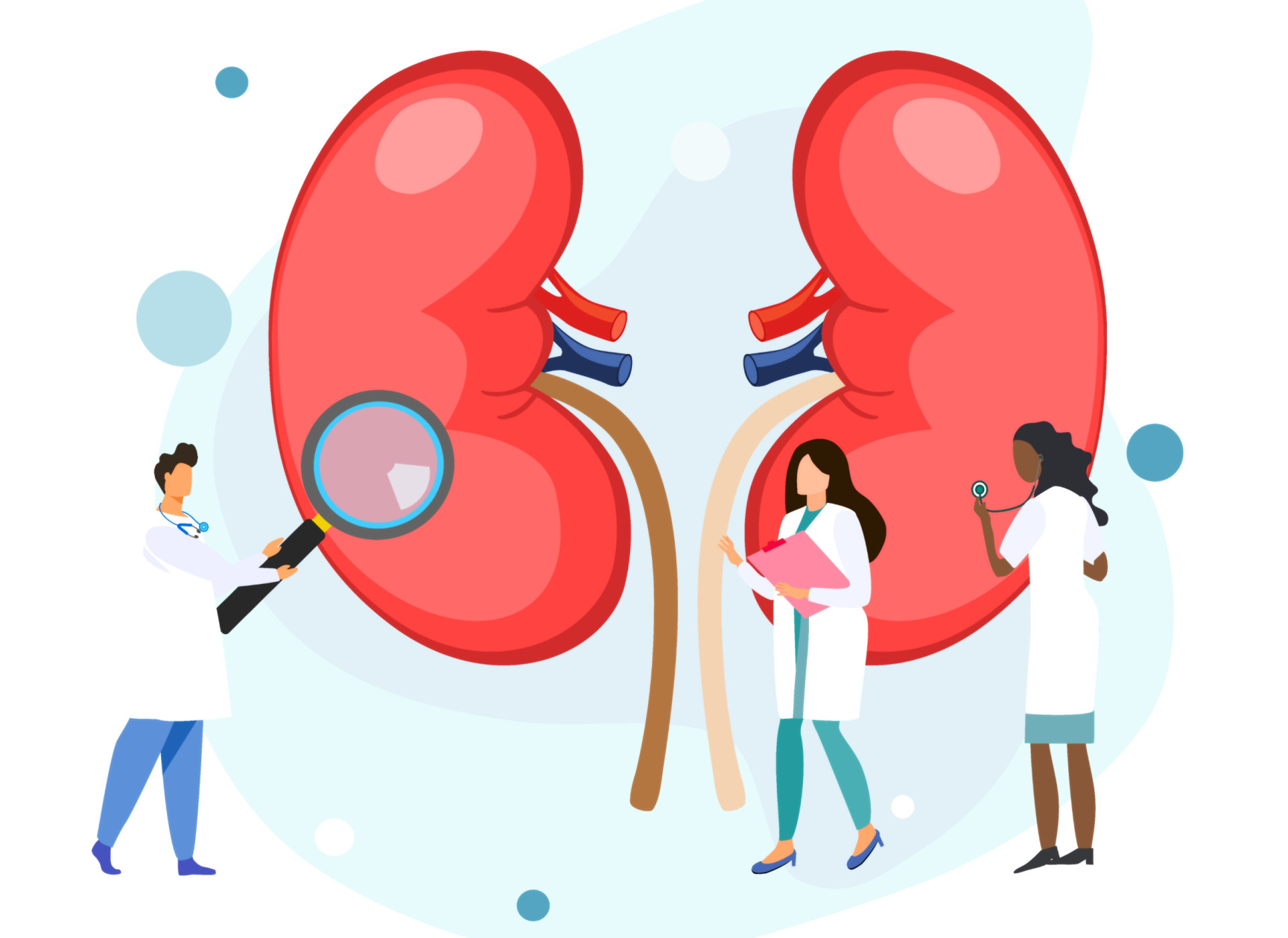 Are you taking care of your kidneys?