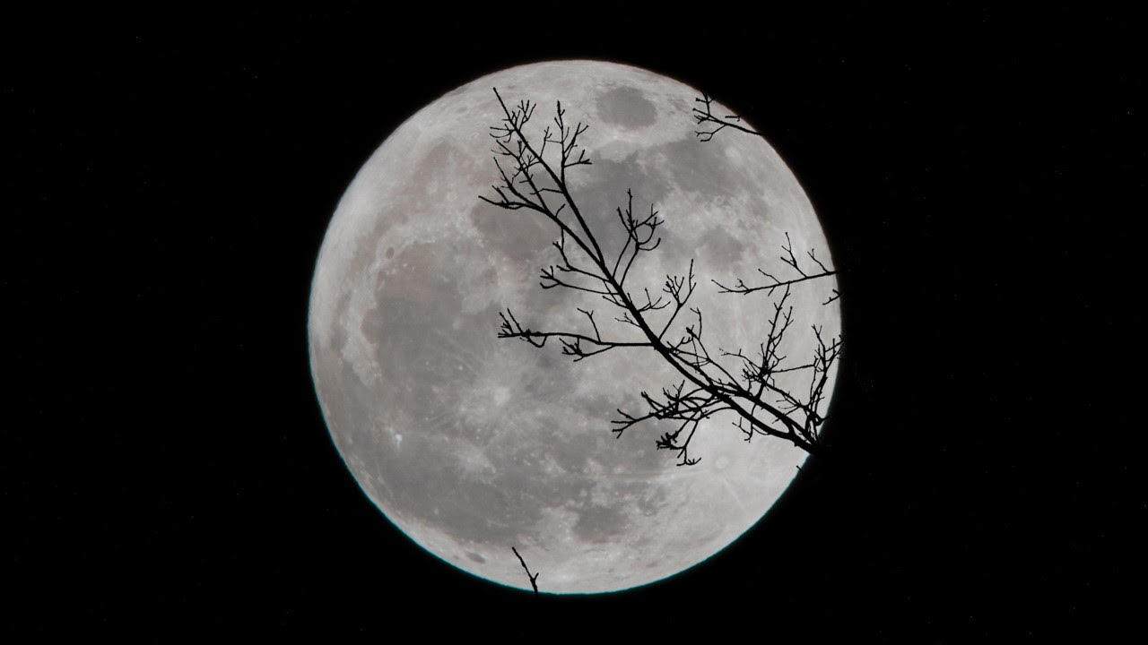 When Is the Next Full Moon? May's Flower Micromoon, Explained