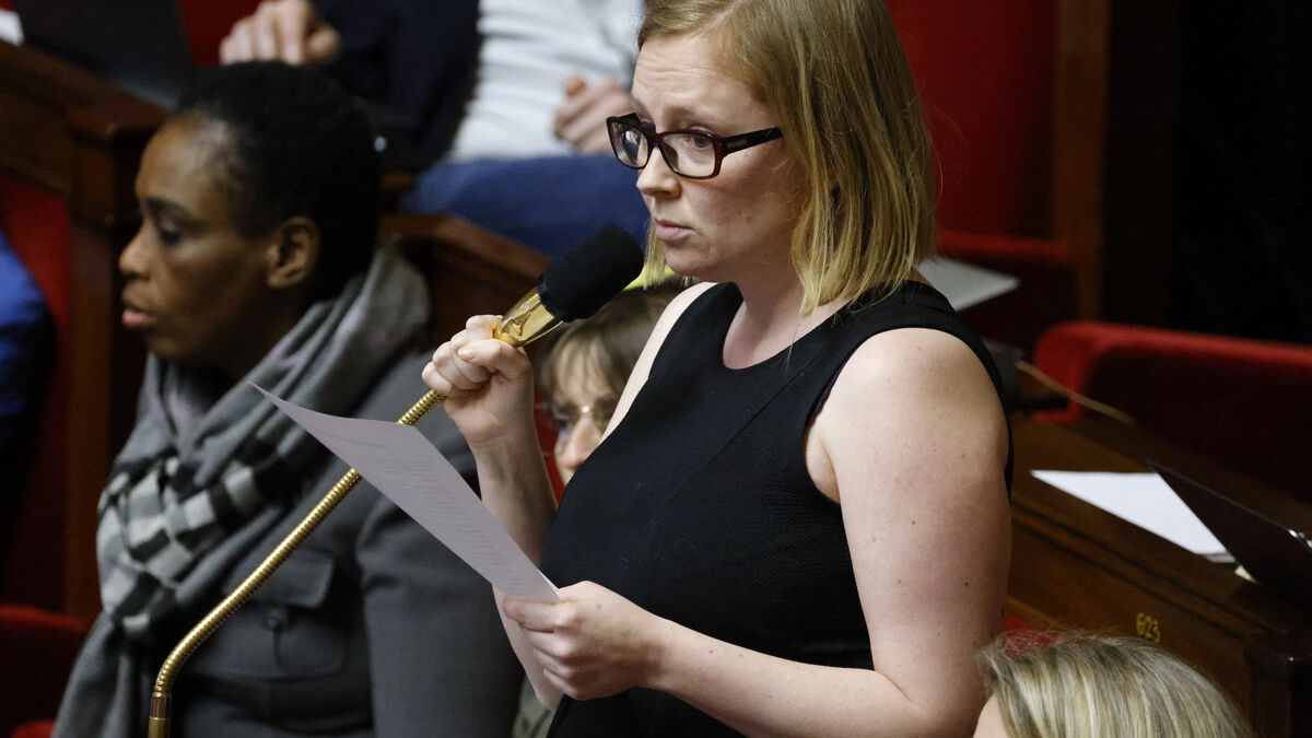 Une députée insoumise traitée d’ « antisémite notoire » par un ...