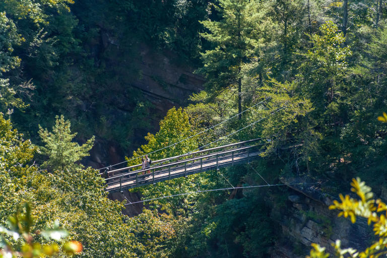 Visiting Tallulah Gorge State Park: a Waterfall Hike & Suspension Bridge