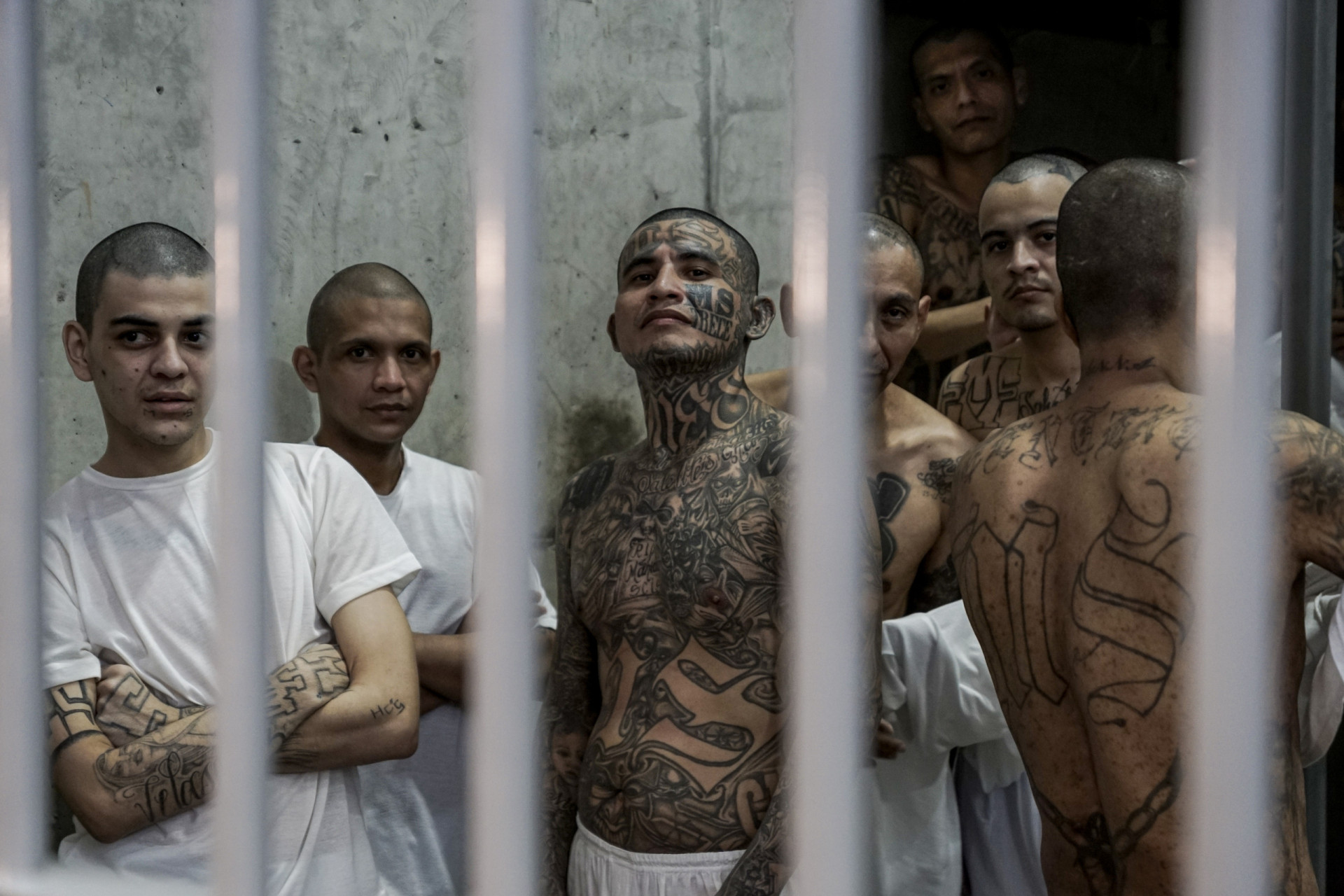 Les rituels initiatiques de ces gangs sont inhumains