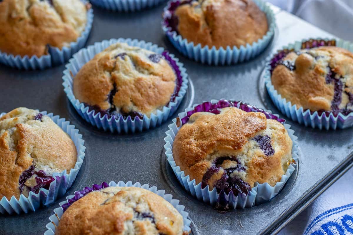 Easy and delicious muffin recipes perfect for snacking