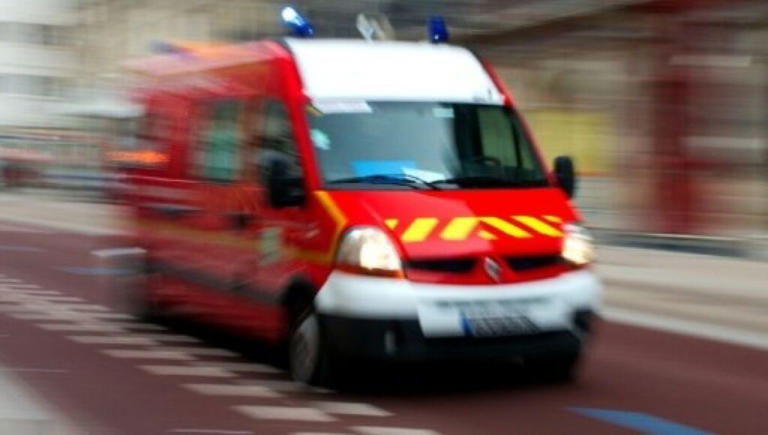 Un violent accrochage avec un poids lourd envoie deux enfants à l ...