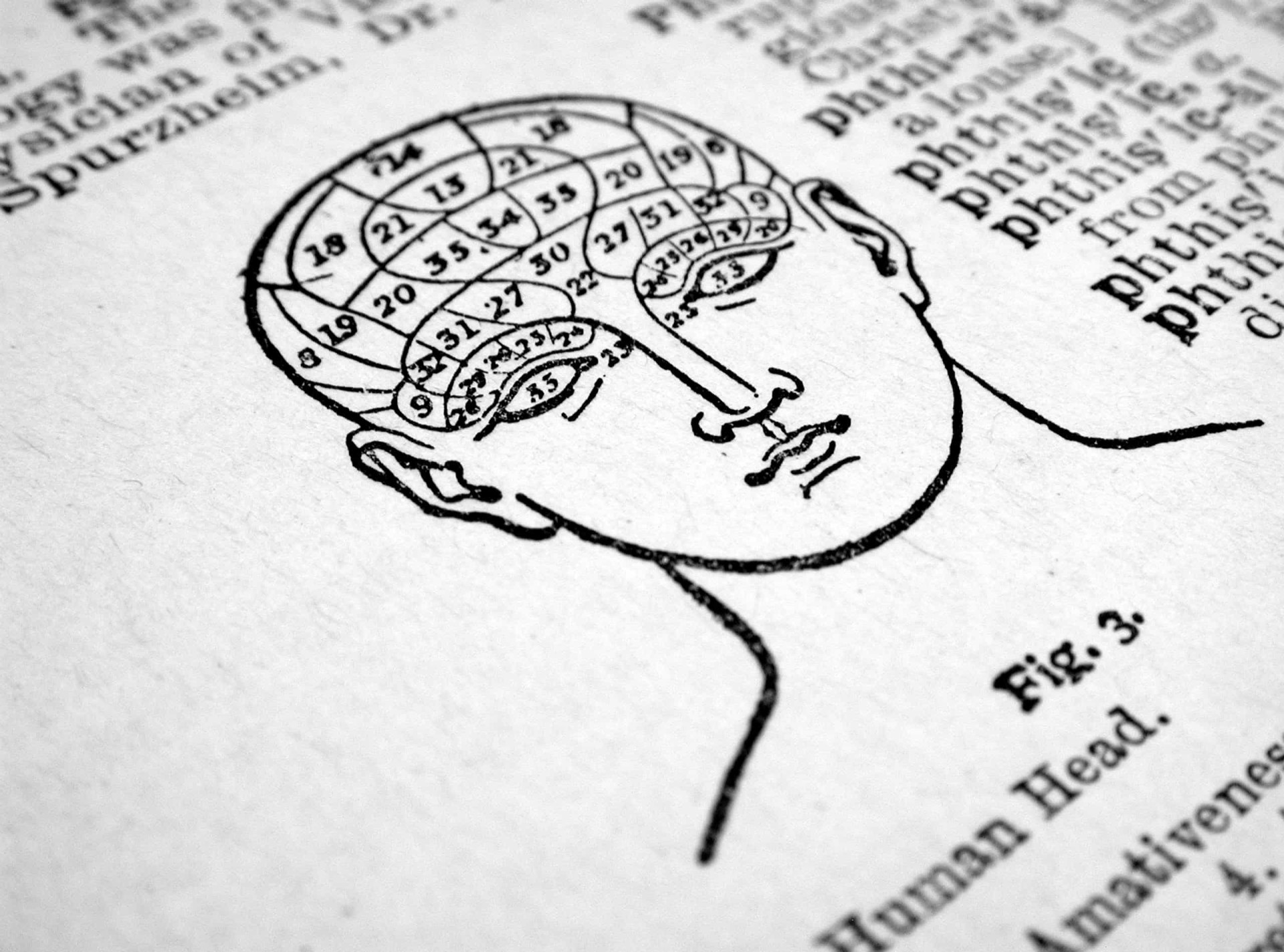 The four humors: what the ancient Greeks can teach us about mental health