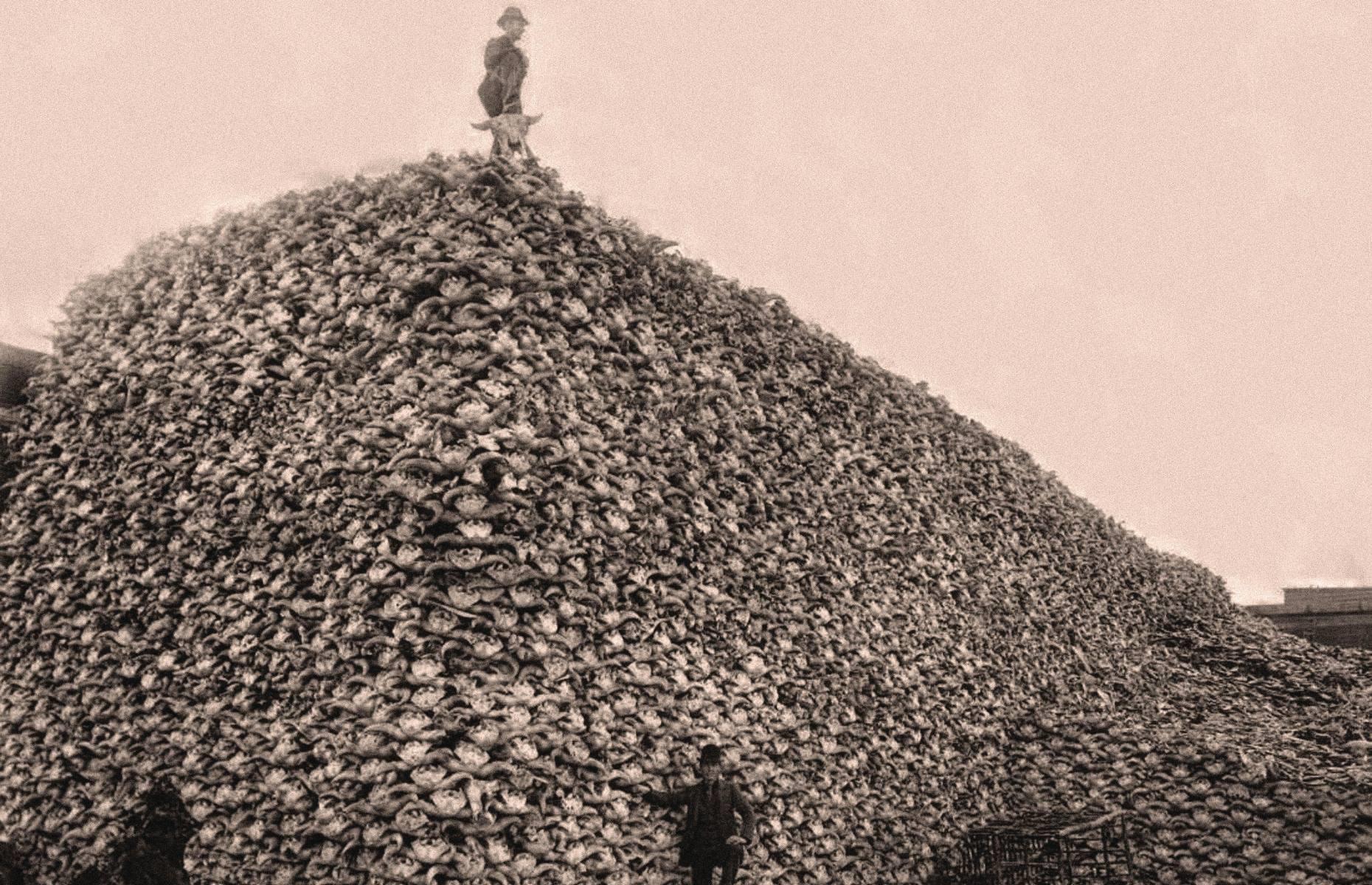 30 Of The Most Iconic, Impactful Photos In American History