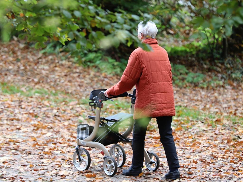 CDU-Wirtschaftsrat fordert Abschaffung von Grundrente