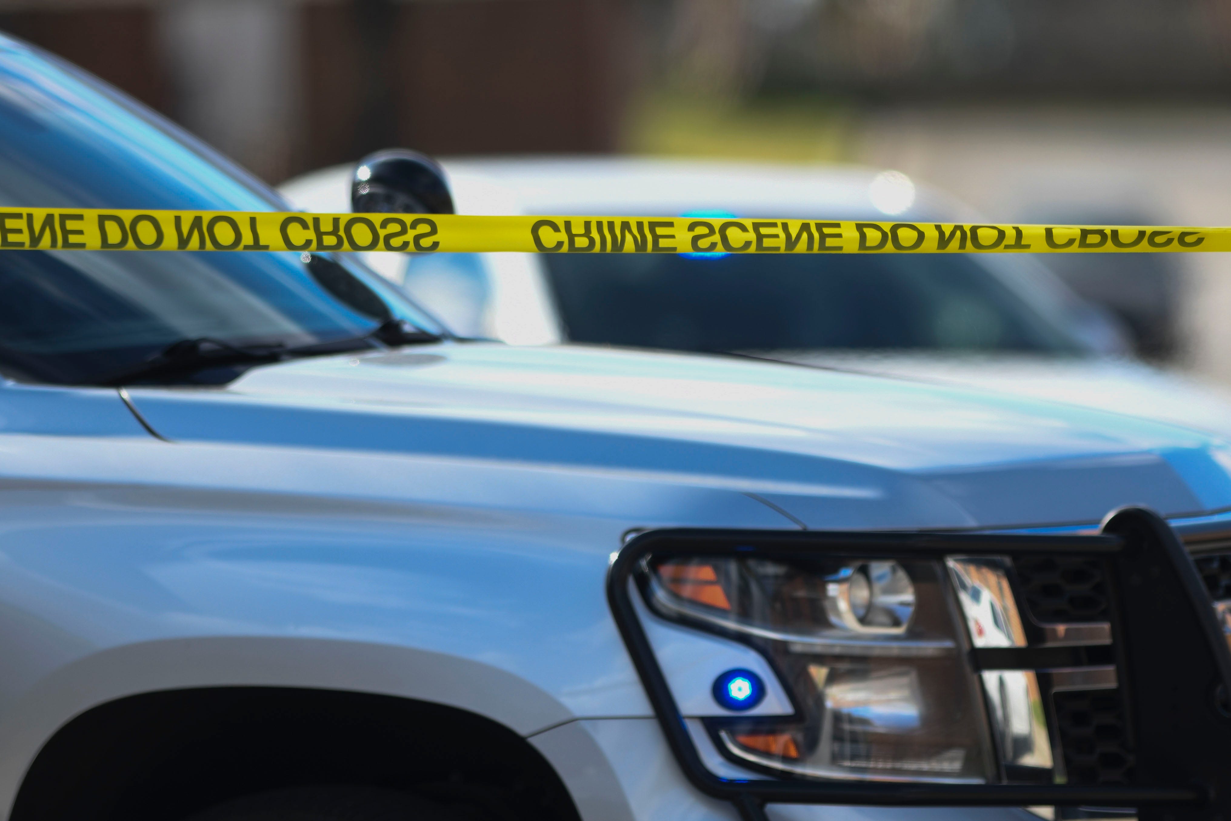 Stumped: Did a tree removal worker steal a Martinez man's guns, TAG ...