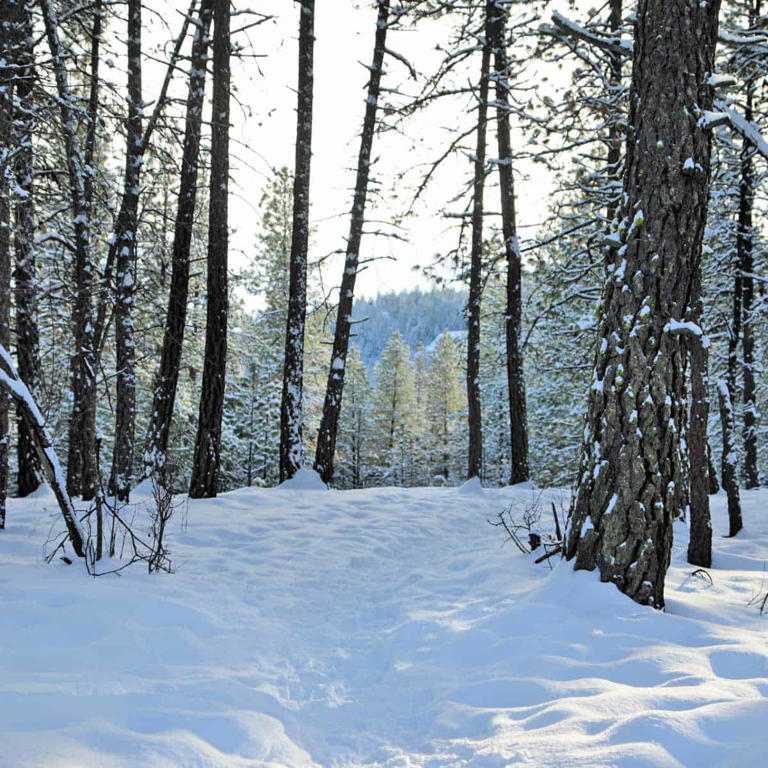 Snowshoeing Tips from a Park Ranger