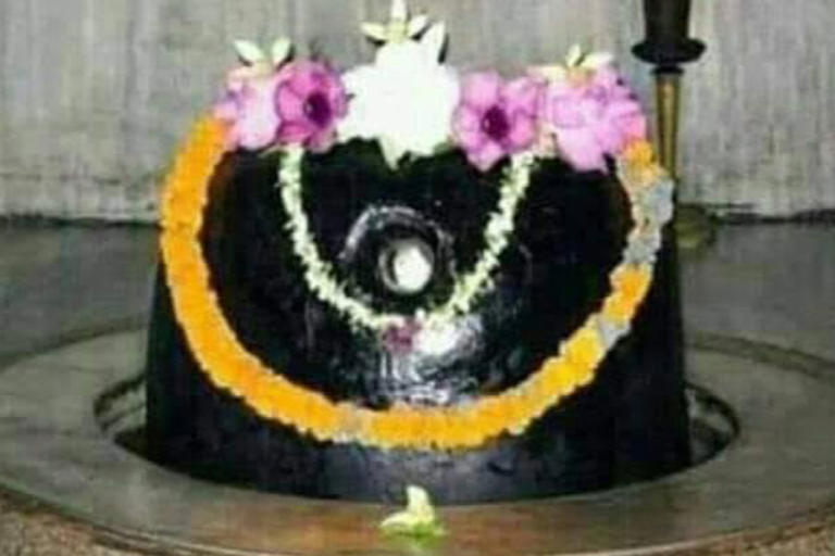 Devotees offer Shivaratri prayers at Tarakeswar, Baidyanath Dham