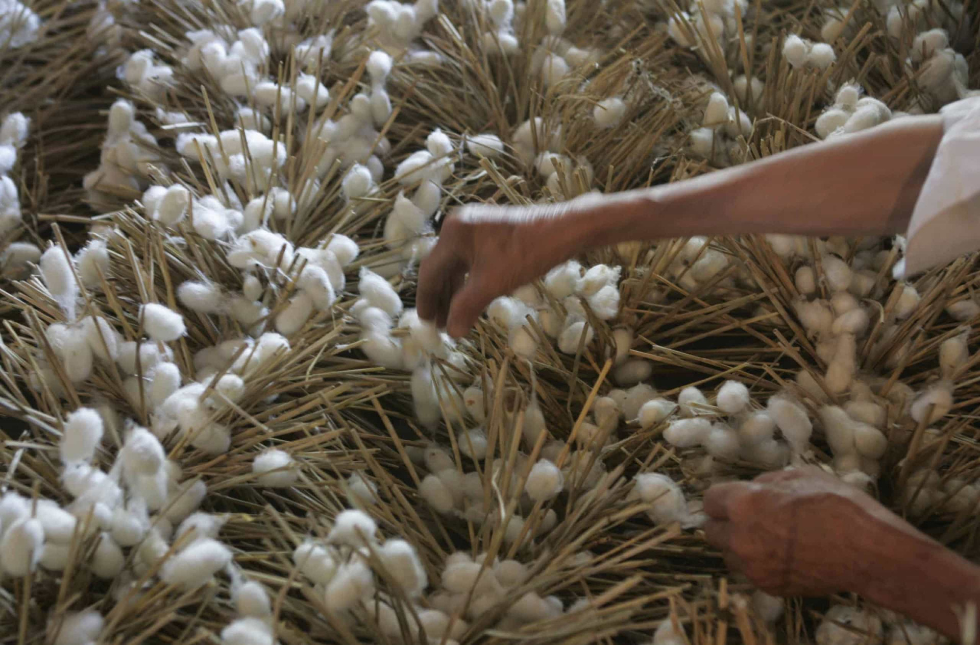 The fascinating history of the Silk Road