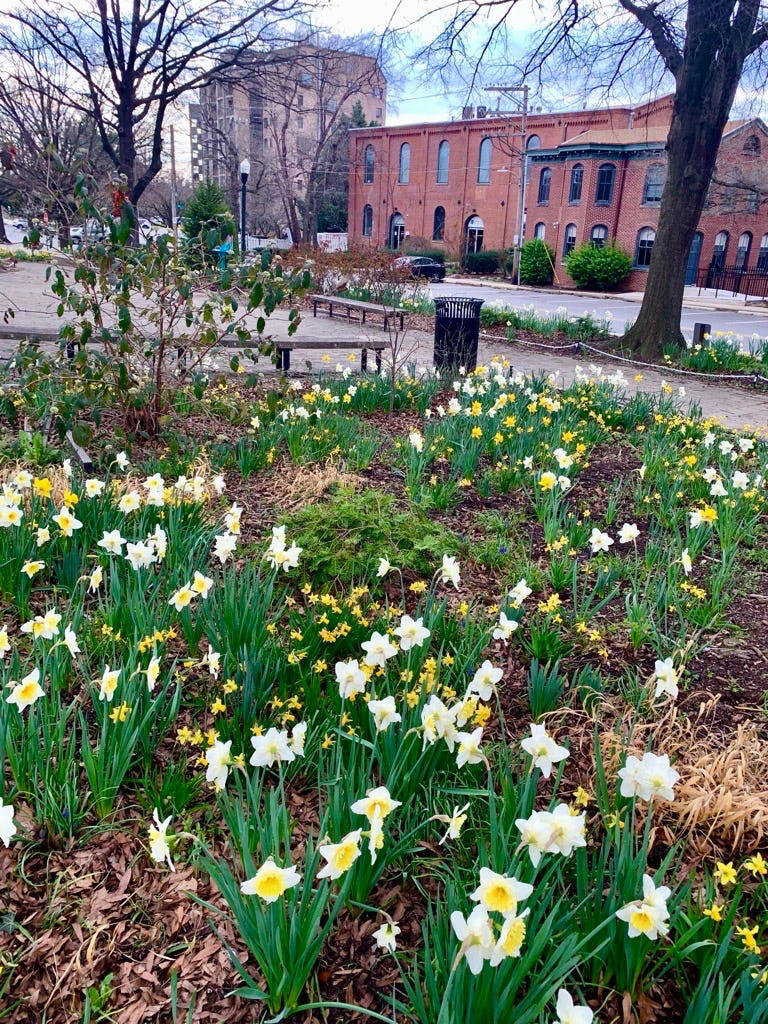 When is the first day of spring? It's in March but beyond that, it depends