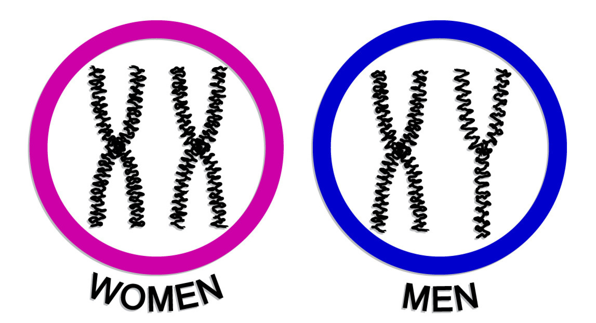 Warum Autoimmunkrankheiten auf dem Vormarsch sind
