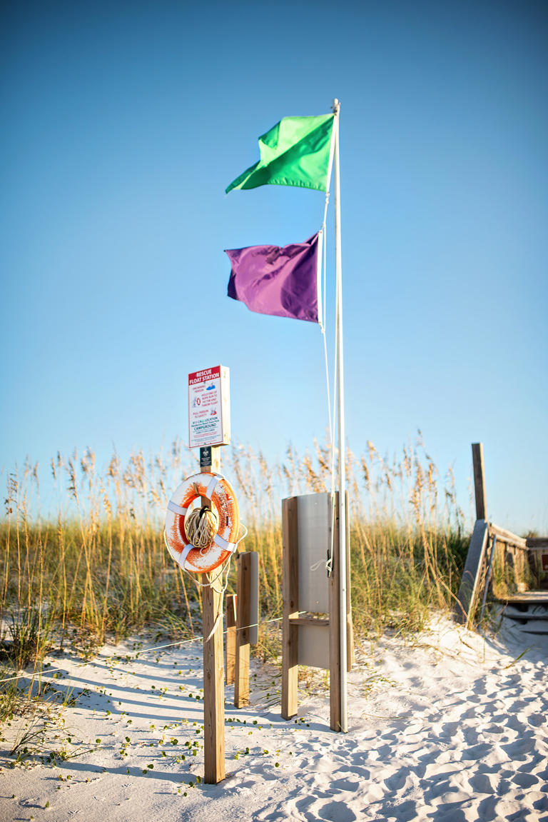 BEACH SAFE: How to Use the Beach Flag Warning System Along the Gulf ...