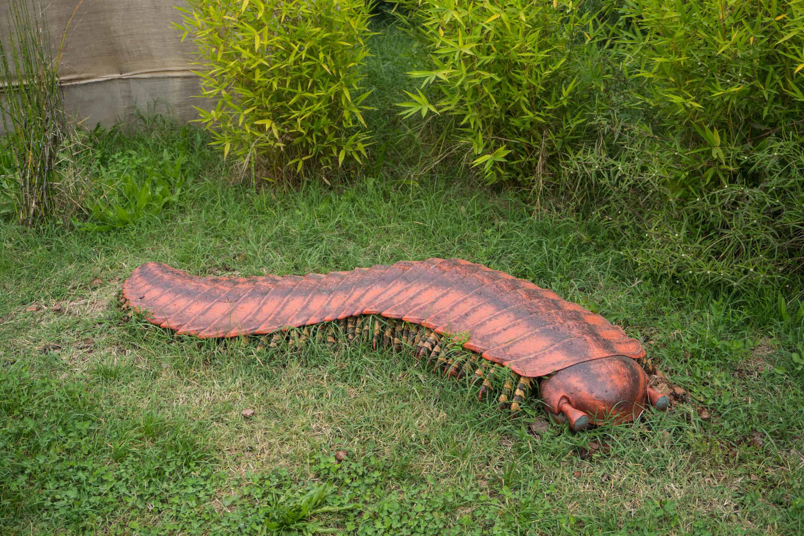 Meet the Giant Millipede That Once Crawled the Earth