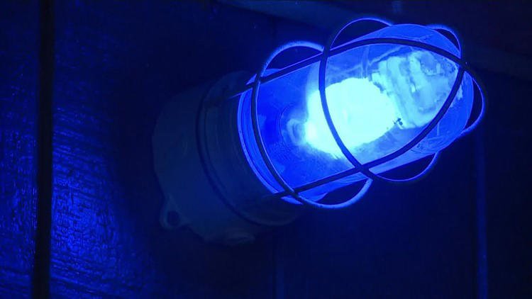 Code Blue issued for City of Buffalo