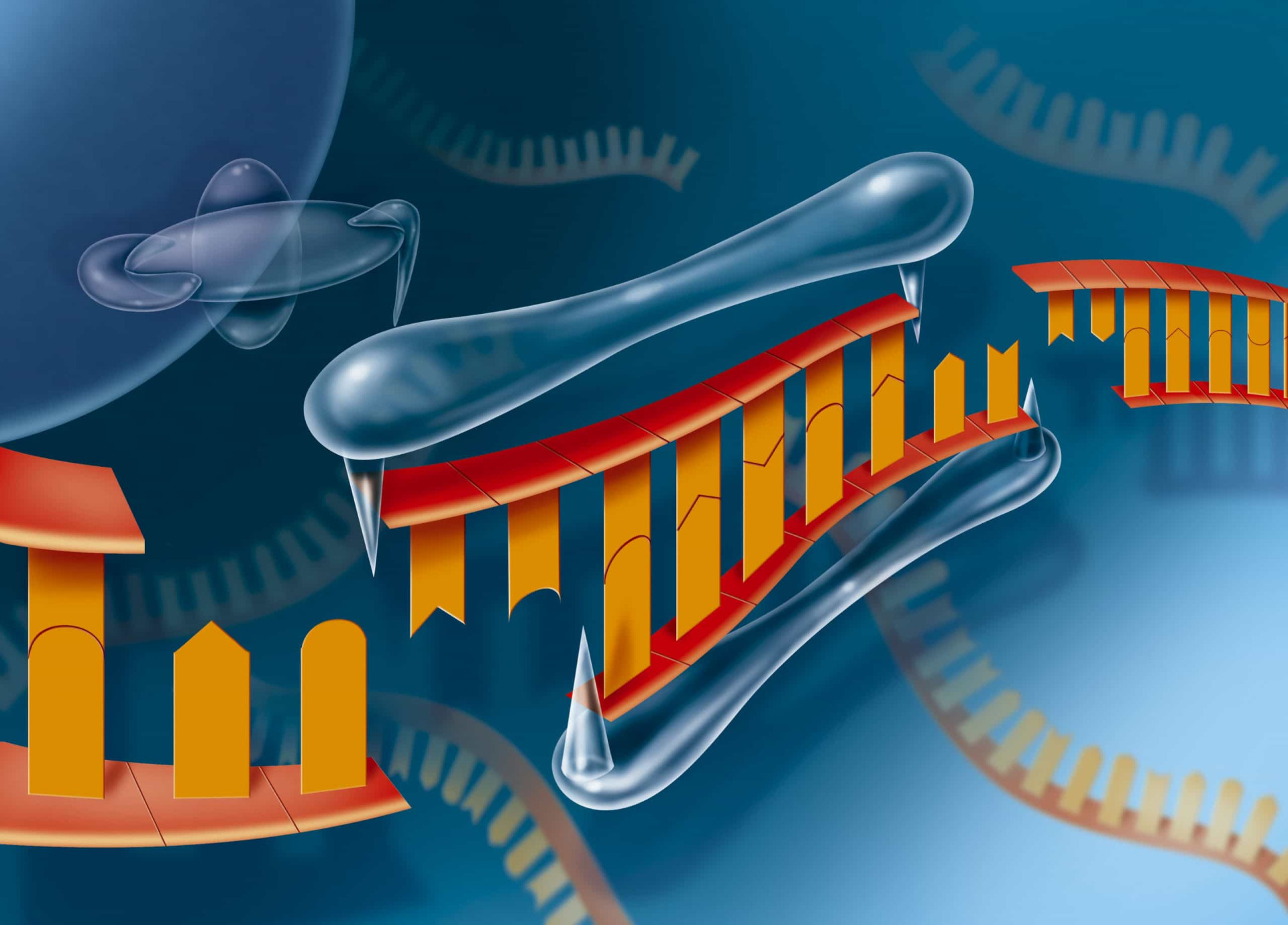 The inherited royal disease: what is hemophilia?