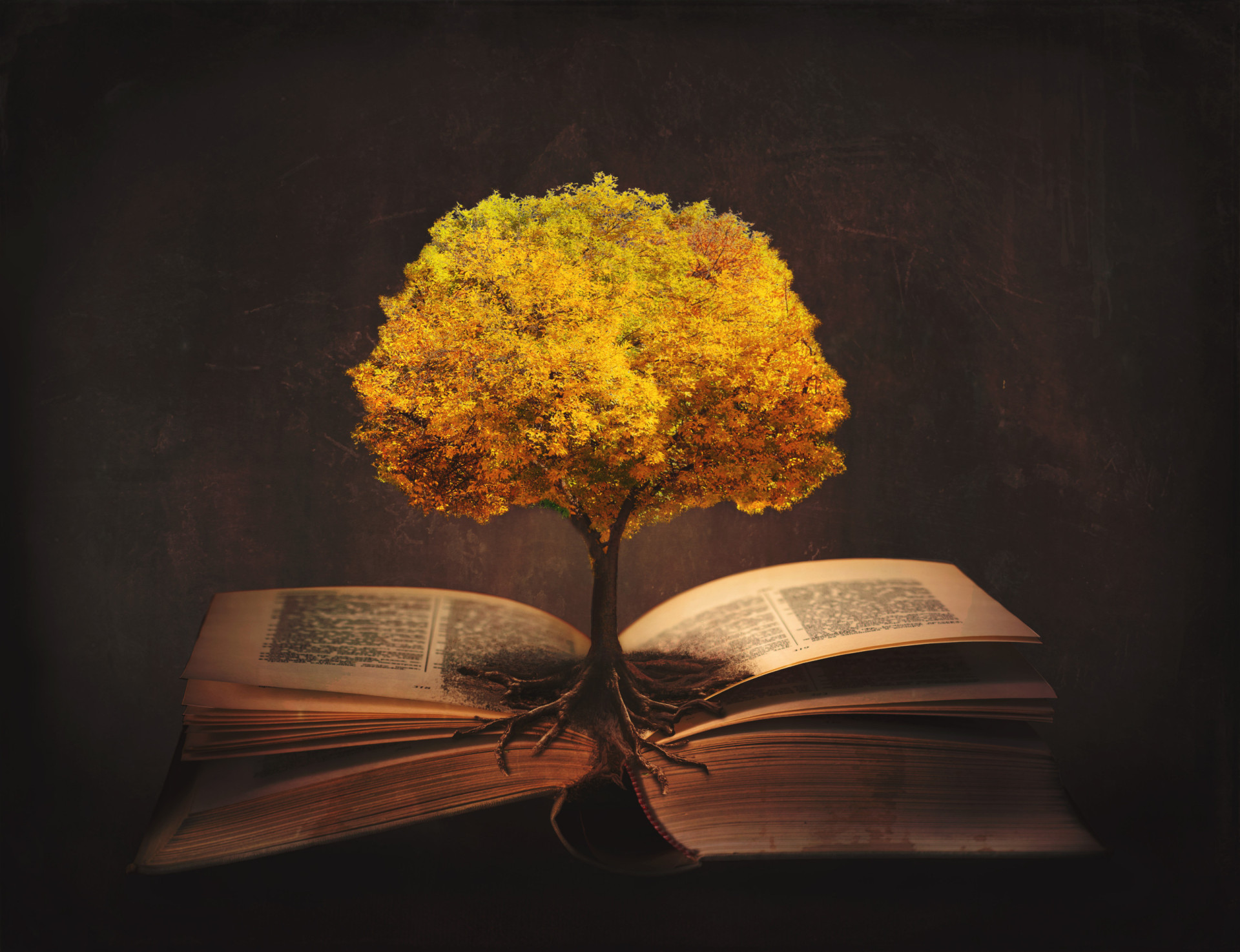 Magic and metaphysics: what was the Order of the Golden Dawn?