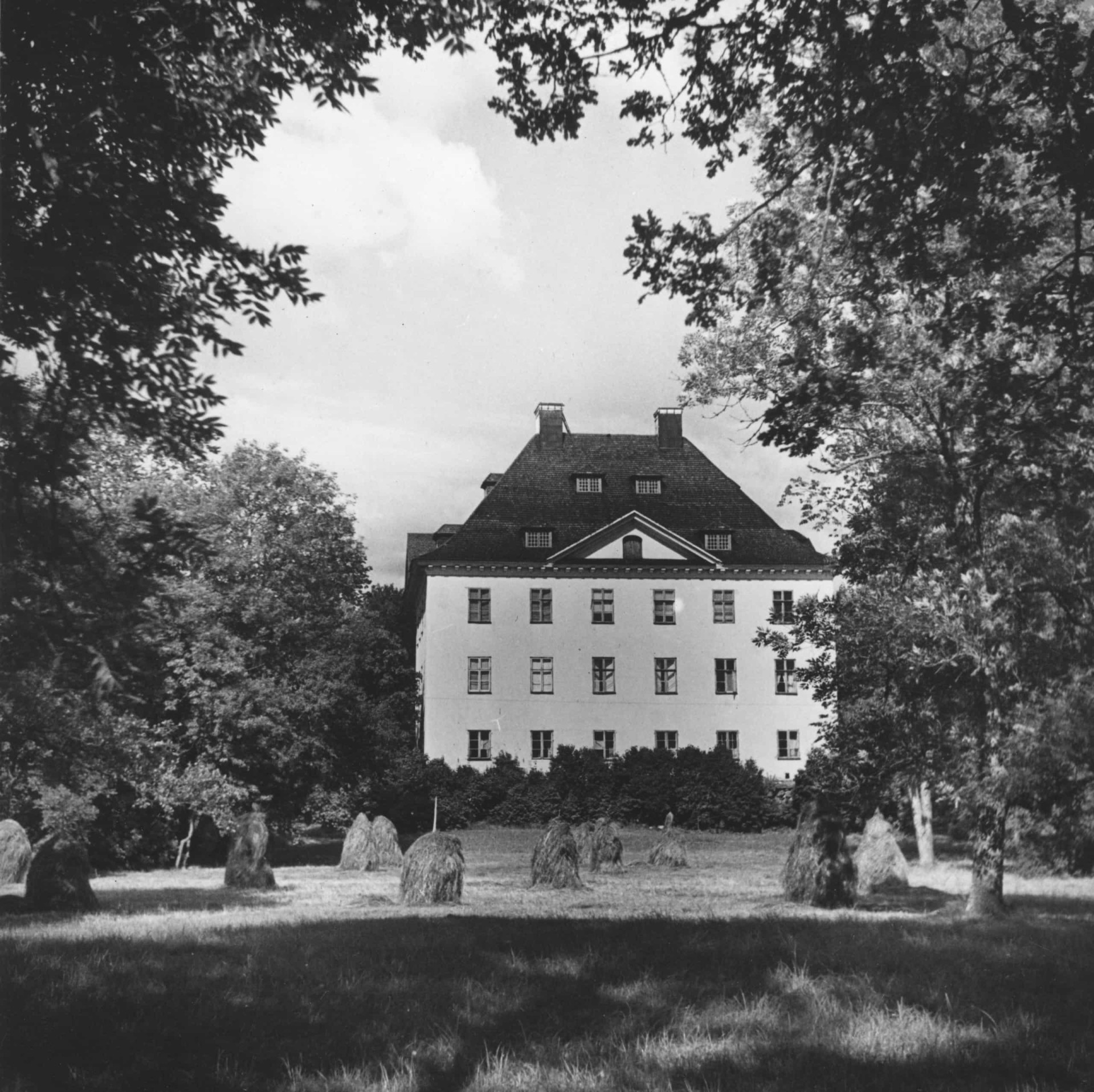 The inherited royal disease: what is hemophilia?