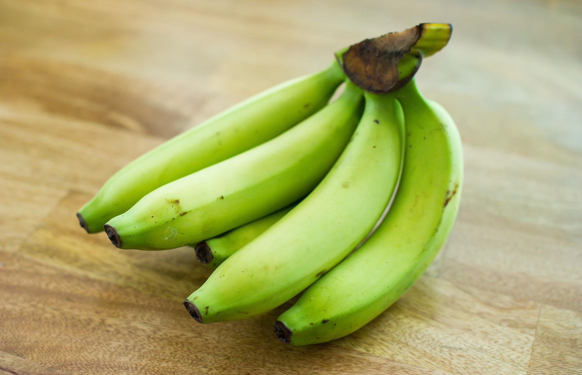 The best foods for boosting your gut health